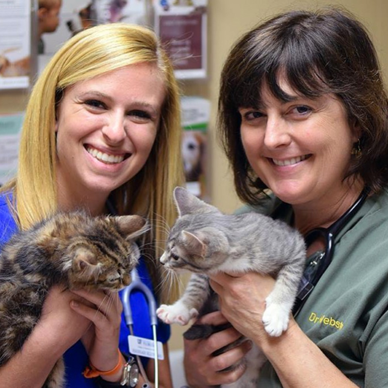 Experienced Caring Pet Vets | Top Quality Animal Hospital