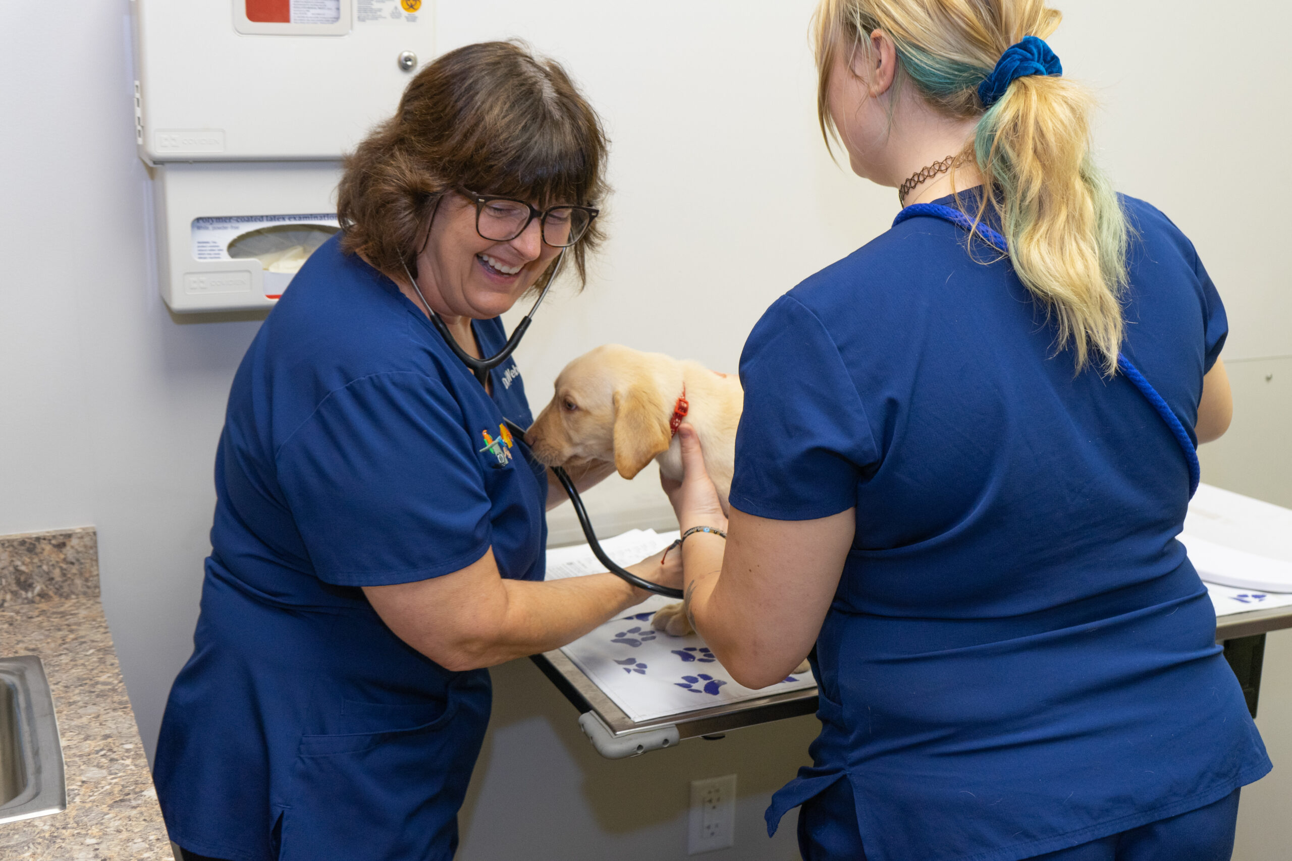 Professional Quality Care For Your Pets | Expert Veterinarians